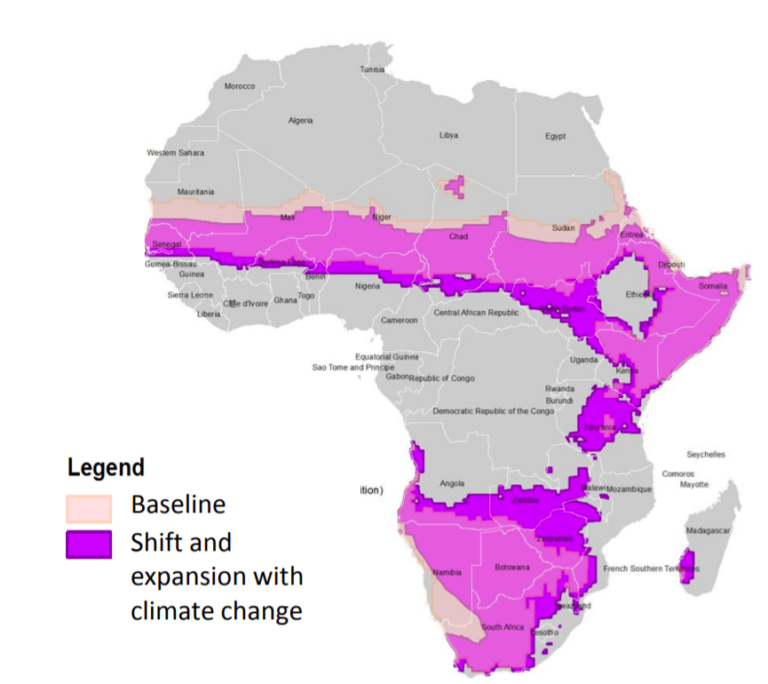 Desertification in Africa - Desertification Facts