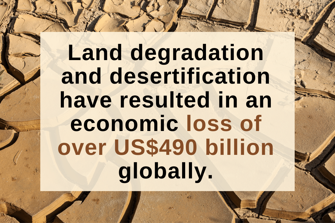 Desertification Facts - Desertification Facts