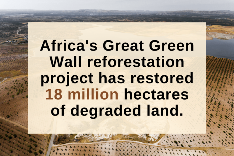 Desertification Facts - Desertification Facts