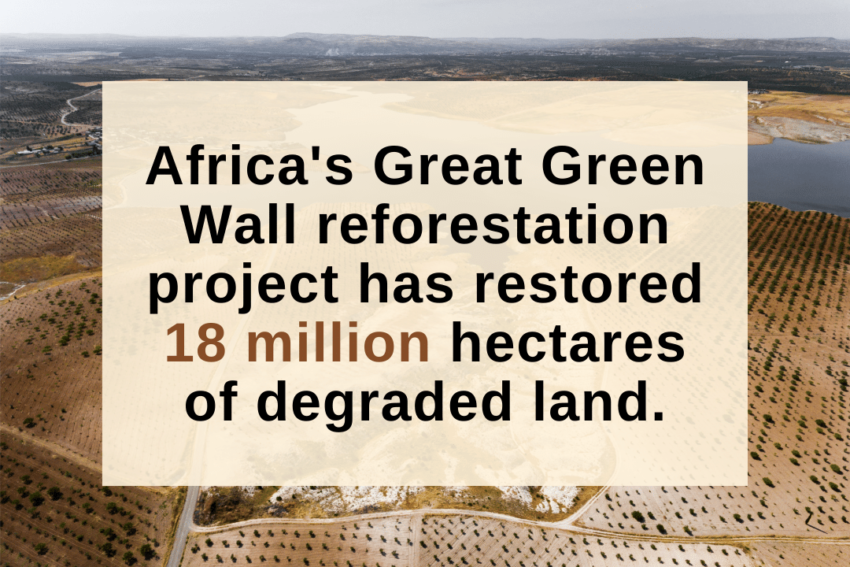 Desertification Facts - Desertification Facts