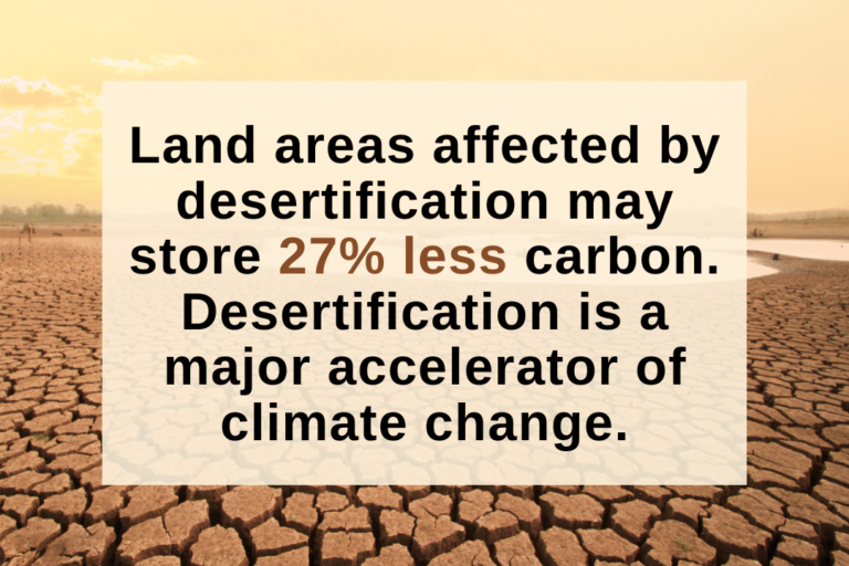 Desertification Facts - Desertification Facts