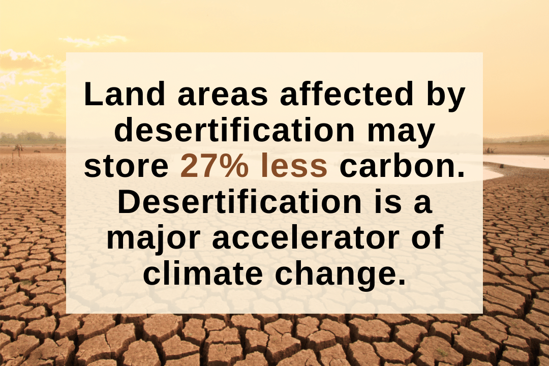 Desertification Facts - Desertification Facts