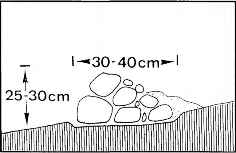 Magic Stones: A Solution to Desertification - Desertification Facts
