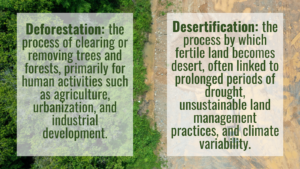 Deforestation and Desertification: Differentiations | Desertification Facts